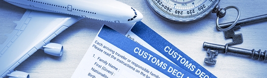 Customs Clearance Software - Customs Management System